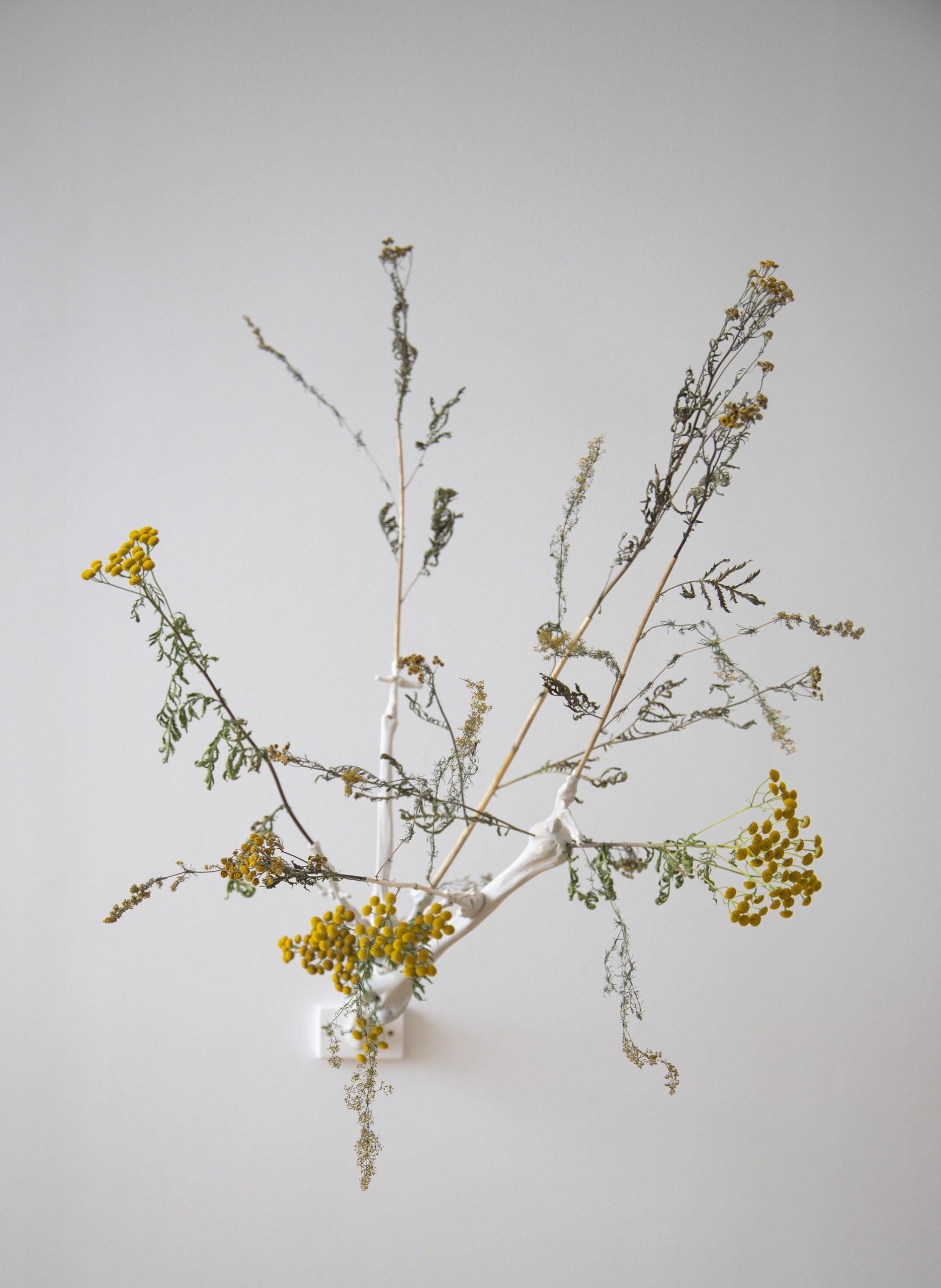 Hic Jacet - Kalle Hamm